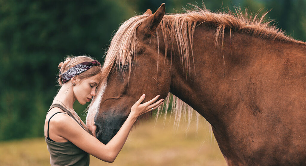 Horses Healing Hearts: Helping Children of Substance Addicted Parents ...