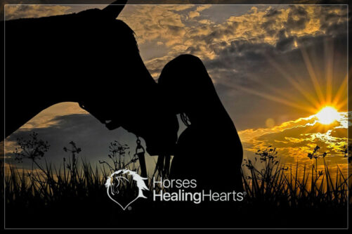 Youth Emotional Healing - Horses Healing Hearts